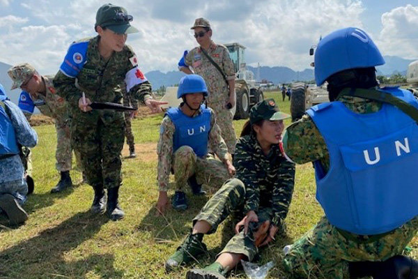 Overview of the ASEAN Defence Ministers’ Meeting Plus Experts’ Working ...